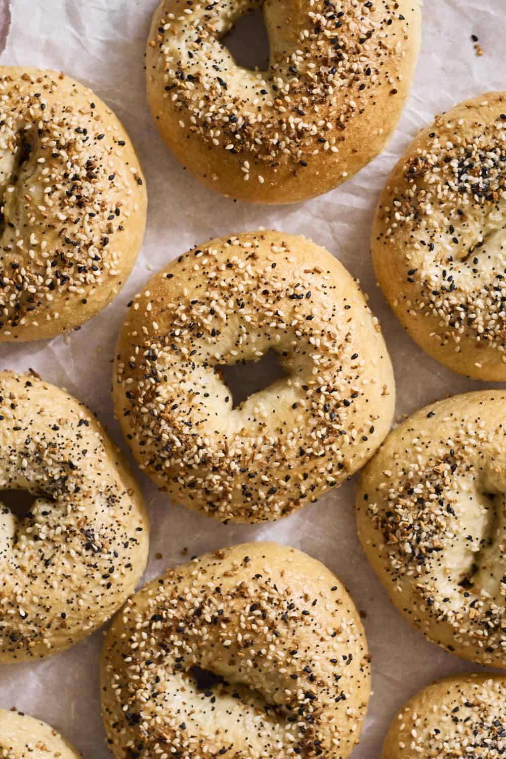 Homemade Everything Bagels - This Jess Cooks
