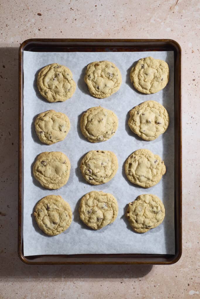 Sourdough Discard Chocolate Chip Cookies - This Jess Cooks